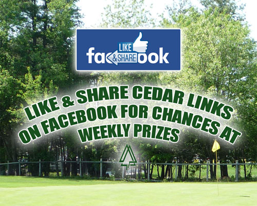 Cedar Links | Family Golf Centre